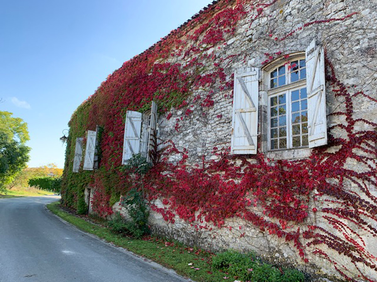 Château des Vieilles Vignes Nick and Nicole | Chateau DIY